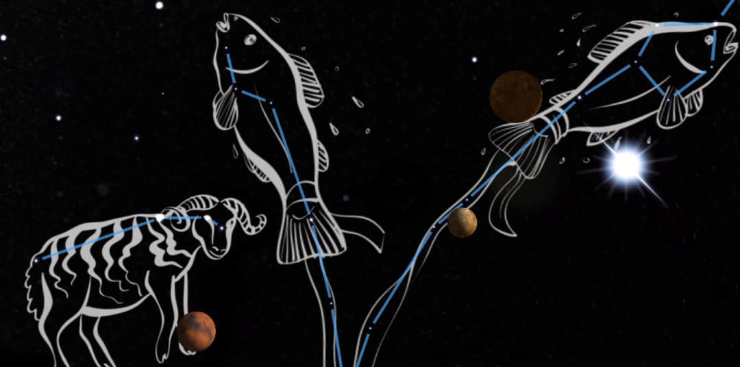 Aries Pisces March 21 Somya Devi Vedic Astrology
